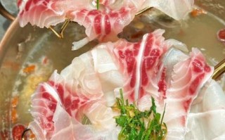 脆肉鲩养殖技术_脆肉鲩养殖常见问题