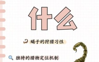 蝎子吃什么长得快_蝎子吃什么食物长得快