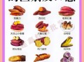 地瓜和红薯的区别图片_哪个是地瓜哪个是红薯