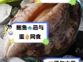 鲍鱼不能和什么蔬菜一起吃_哪些蔬菜与鲍鱼相克
