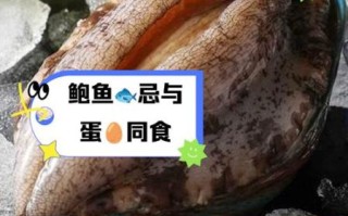 鲍鱼不能和什么蔬菜一起吃_哪些蔬菜与鲍鱼相克