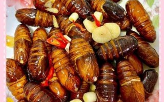 蚕蛹怎么吃最有营养_蚕蛹最营养的吃法