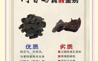 首乌图片_何首乌真假怎么辨别