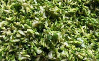 蒸洋槐花的功效与作用_孕妇能吃吗