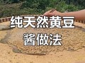 怎样制作黄豆酱_家庭版黄豆酱怎么做