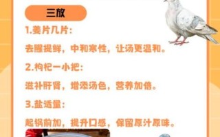 鸽子怎么炖不腥_鸽子汤去腥技巧