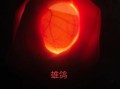 鸽子蛋孵化过程图_如何人工辅助破壳