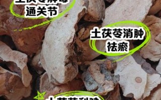 长期喝土茯苓的功效与作用_土茯苓能天天喝吗