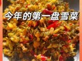 雪菜怎么做好吃_雪菜图片做法大全