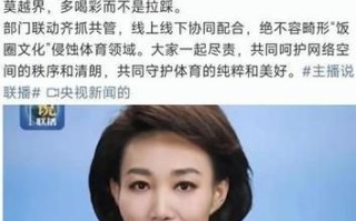饭圈乱象怎么整治_粉丝控评如何根治