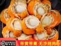 冻扇贝肉怎么处理_冻扇贝肉怎么清洗