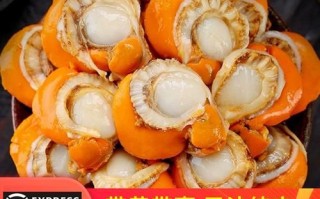 冻扇贝肉怎么处理_冻扇贝肉怎么清洗