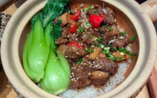 煲仔饭有哪些种类_哪种煲仔饭最好吃