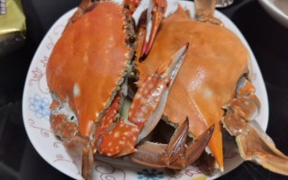 海蟹怎么蒸好吃_蒸海蟹的正确方法