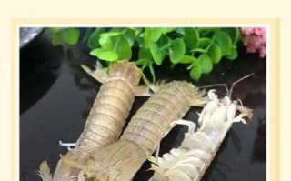 虾爬子蒸多久最佳时间_蒸虾爬子需要几分钟