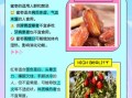 蜜枣和红枣哪个补血好_女人吃哪种更见效