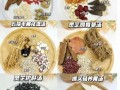 养肝药膳食谱大全_春季护肝吃什么好