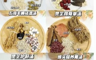 养肝药膳食谱大全_春季护肝吃什么好