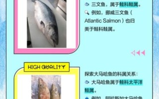 大马哈鱼和三文鱼有什么区别_哪个更好吃