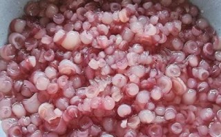 海灵菇是什么_海灵菇长在海底哪里