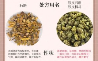 铁皮石斛禁忌人群_铁皮石斛不能和什么一起吃