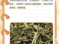 灵香草的功效与作用_灵香草怎么用效果最好