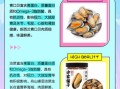 青口是什么_青口贝和淡菜的区别