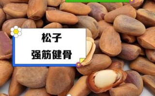 松子能减肥吗_松子吃多了有什么坏处