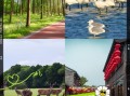 盐城旅游景点排名前十_盐城最值得去的地方有哪些