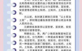 土司王朝电视剧剧情介绍_土司王朝真实历史原型