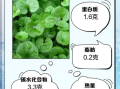 马蹄草熬水喝治疗什么_马蹄草煮水的功效与禁忌