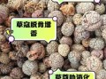 草寇香料是什么_草寇香料怎么用