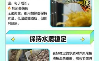 凤尾鱼怎么养_凤尾鱼能活多久