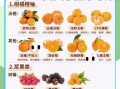 夏天吃什么水果好_夏季水果推荐