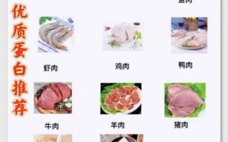 优质蛋白质食物有哪些_如何科学补充蛋白质