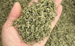 为什么喝碧螺春的人少了_碧螺春销量下滑原因