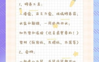 玉米蛇怎么养_玉米蛇饲养温度