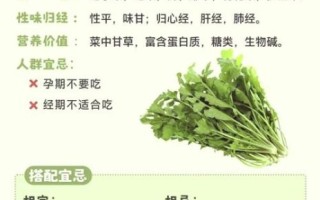 荠荠菜的功效与作用_荠荠菜的营养价值有哪些