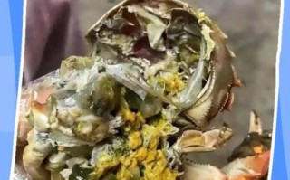 螃蟹放了一晚上死了能吃么_死蟹中毒风险
