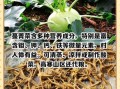 蔓菁读音是什么_蔓菁怎么读才标准