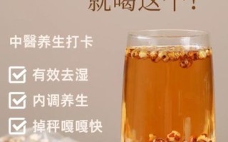薏米茶可以天天喝吗_薏米茶的功效与作用