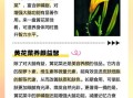 鲜黄花菜怎么吃_鲜黄花菜怎么处理去毒