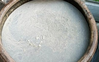 葡萄酵素怎么做_自制葡萄酵素需要多久