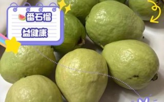 番石榴的热量是多少_减肥能吃番石榴吗