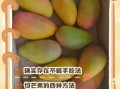 芒果怎么吃不脏手_芒果吃法小技巧