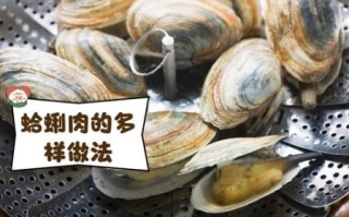 无壳蛤蜊肉怎么做好吃_无壳蛤蜊肉的做法大全