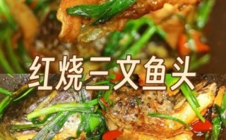 三文鱼头怎么做好吃_三文鱼头清蒸还是红烧
