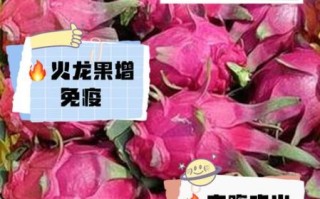 空腹吃火龙果的好处和坏处_早上能吃吗