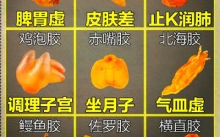 鱼胶的功效与作用_鱼胶怎么吃最补气血