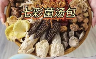 菌子汤是什么梗_菌子汤网络用语含义